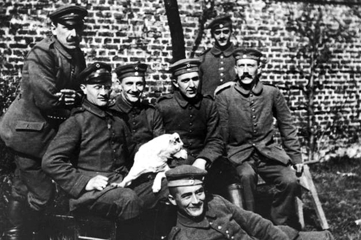 Nazister - Historia Nu