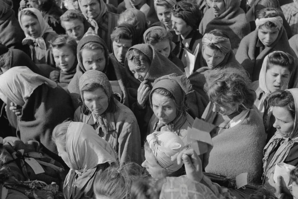 Sverige under andra världskriget: När historien vägrade vända - Historia Nu