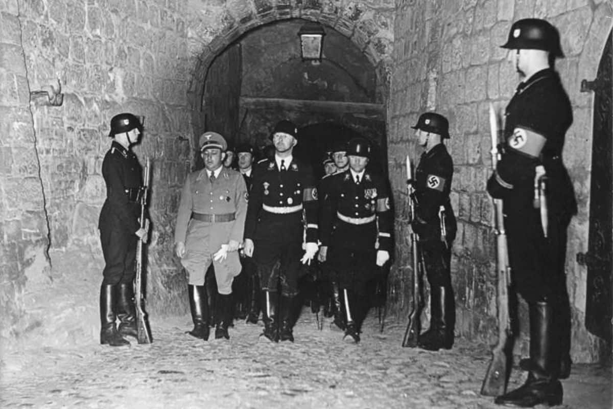 Nazister - Historia Nu